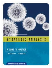 Strategic Analysis